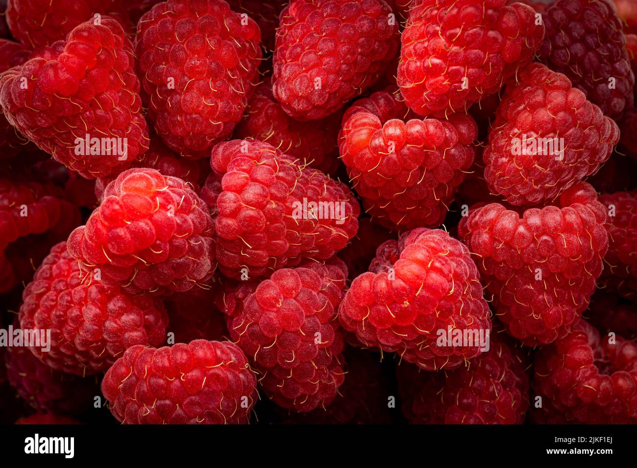 Dark pink fruit hi-res stock photography and images - Alamy