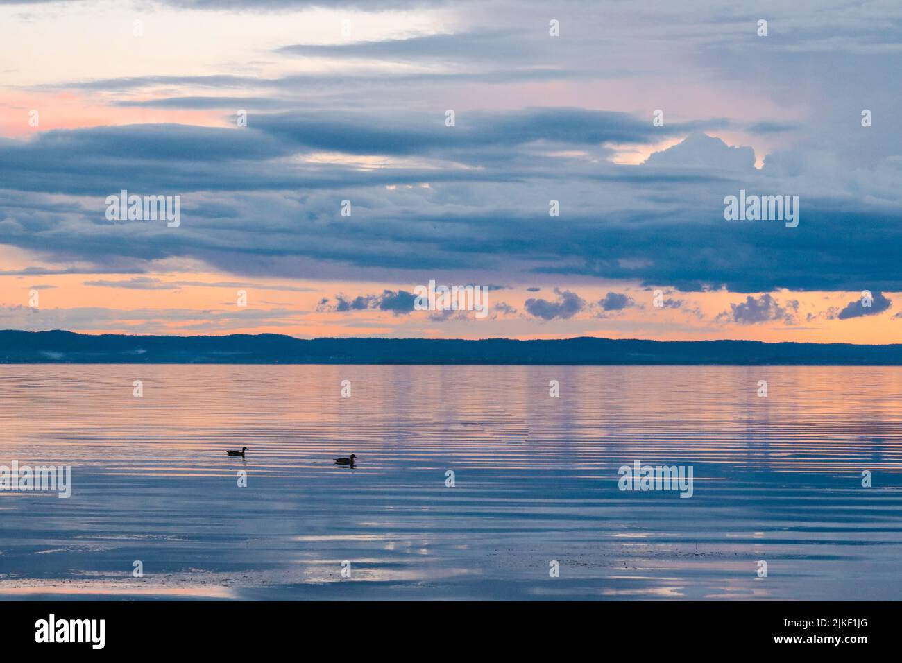 Toukley australia hi-res stock photography and images - Alamy