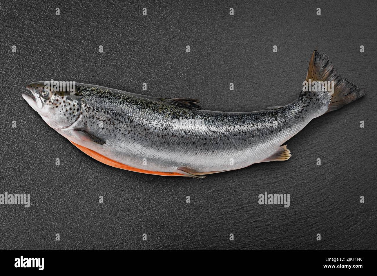 Fresh raw salmon, red fish on black slate stone background. Creative ...