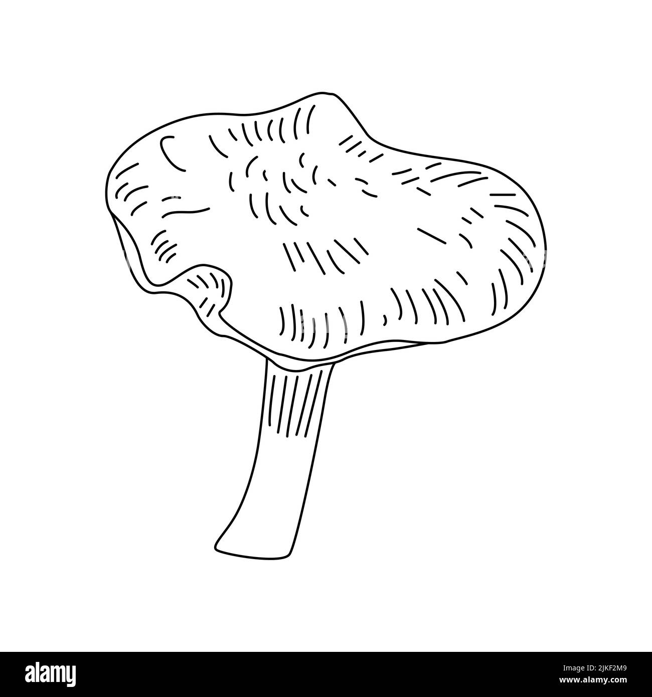 Mushroom Line Art Logo illustrations. Hand drawn fungi. vector Stock ...