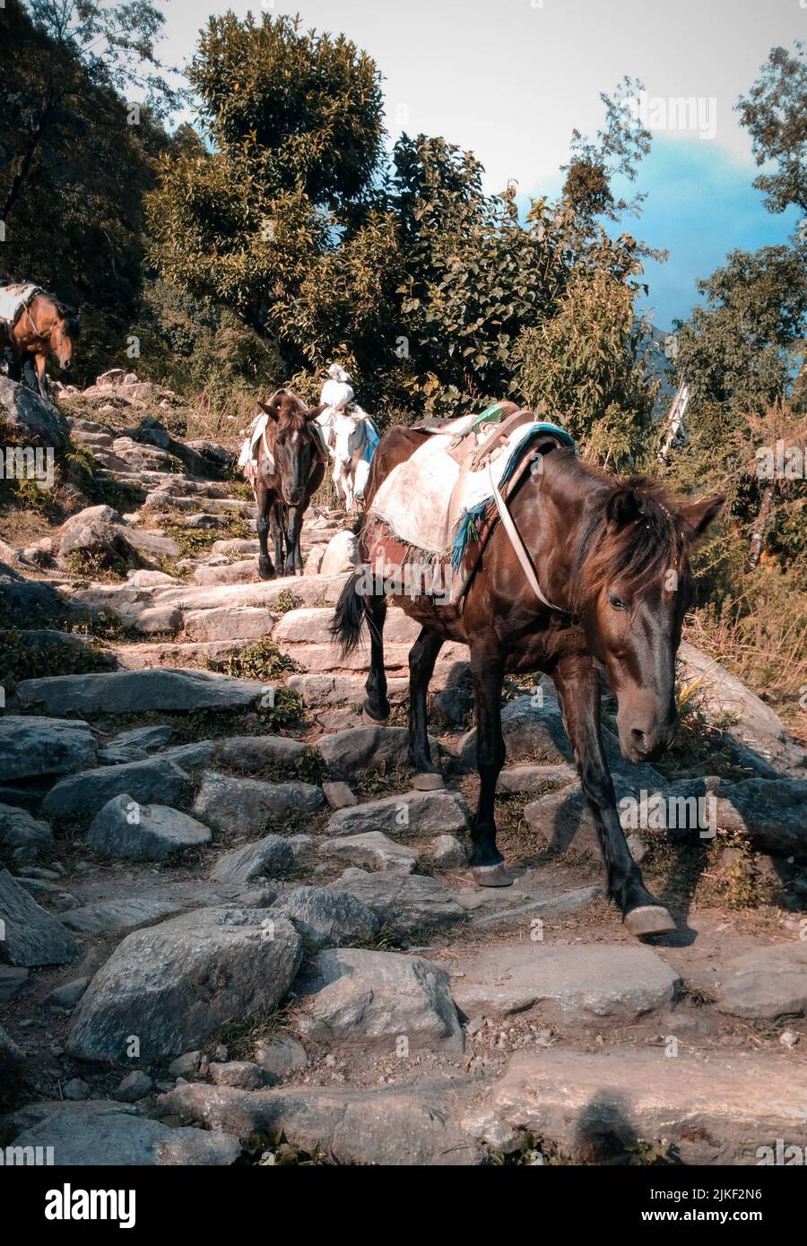 Chomrong village hi-res stock photography and images - Alamy