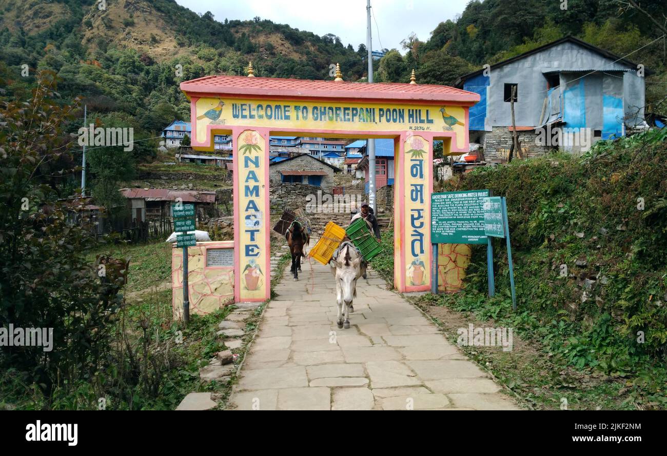 Abc trek annapurna base camp hi-res stock photography and images - Alamy