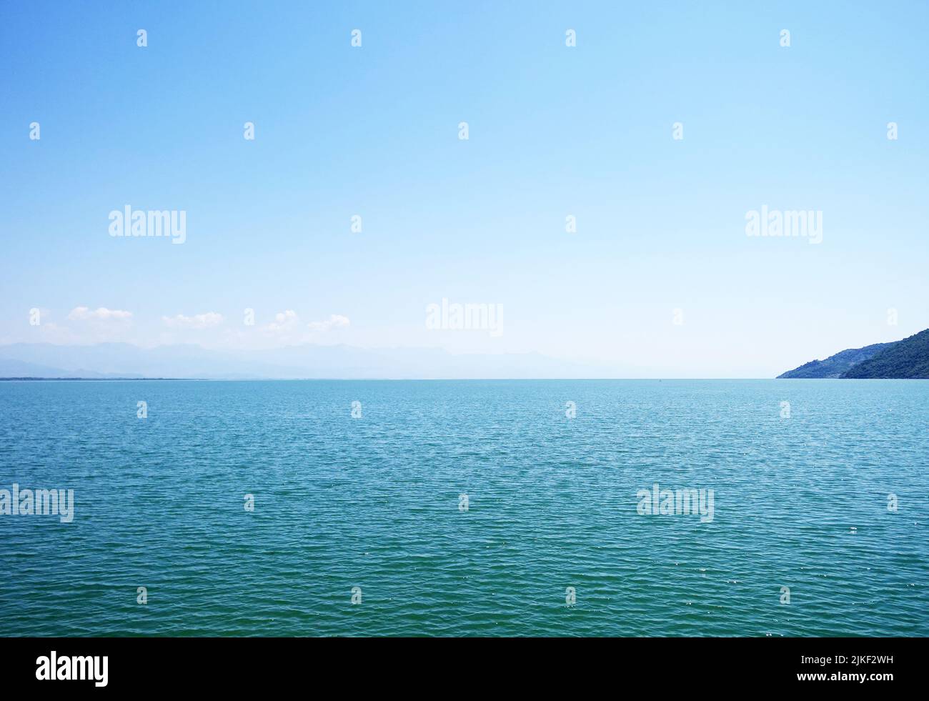 National park, Scadar lake, Montenegro Stock Photo - Alamy
