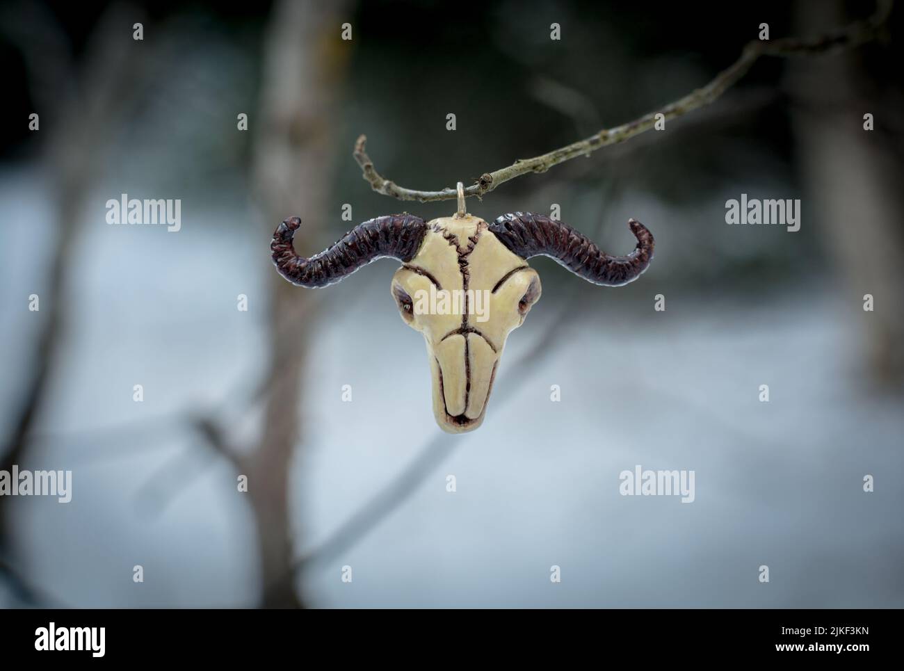 The ornamental goat skull hanging from the tree branch on a winter day ...