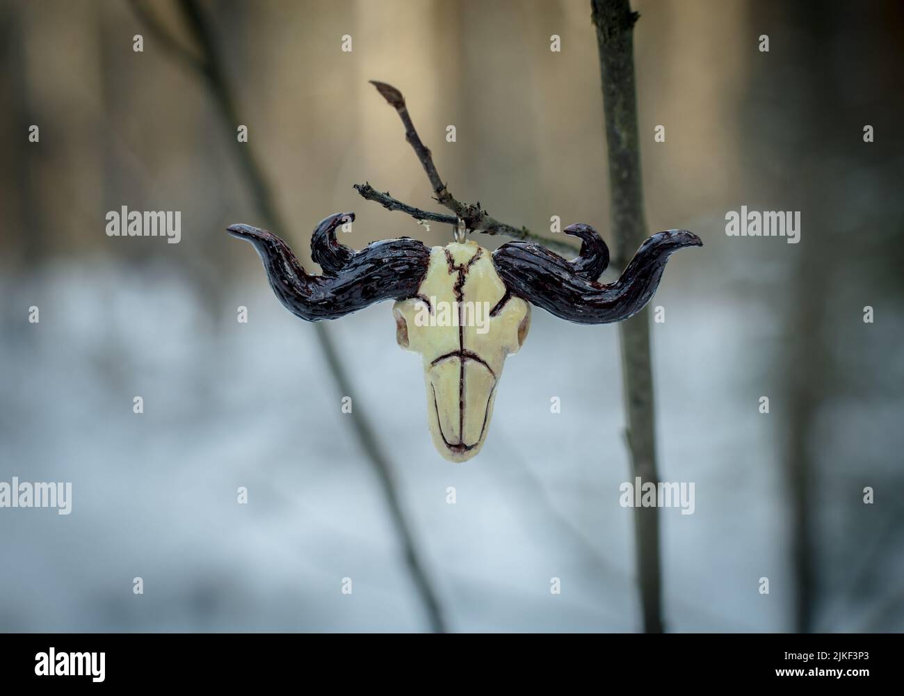 The ornamental bool skull hanging from the tree branch on a winter day ...