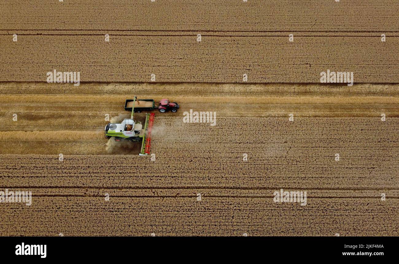 Marsh harvester hi-res stock photography and images - Alamy
