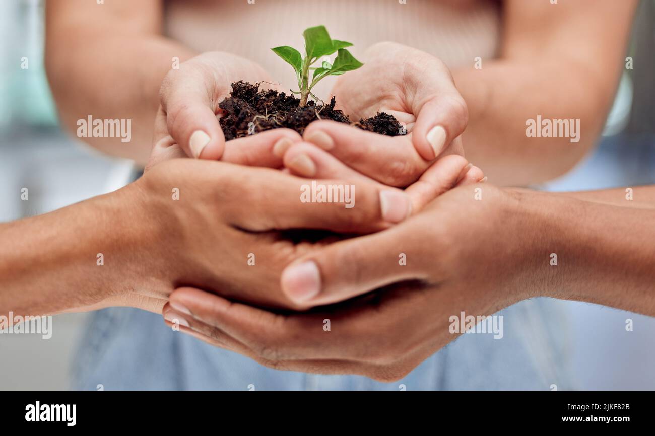 Growth is a slow process. two unrecognizable people holding plants ...