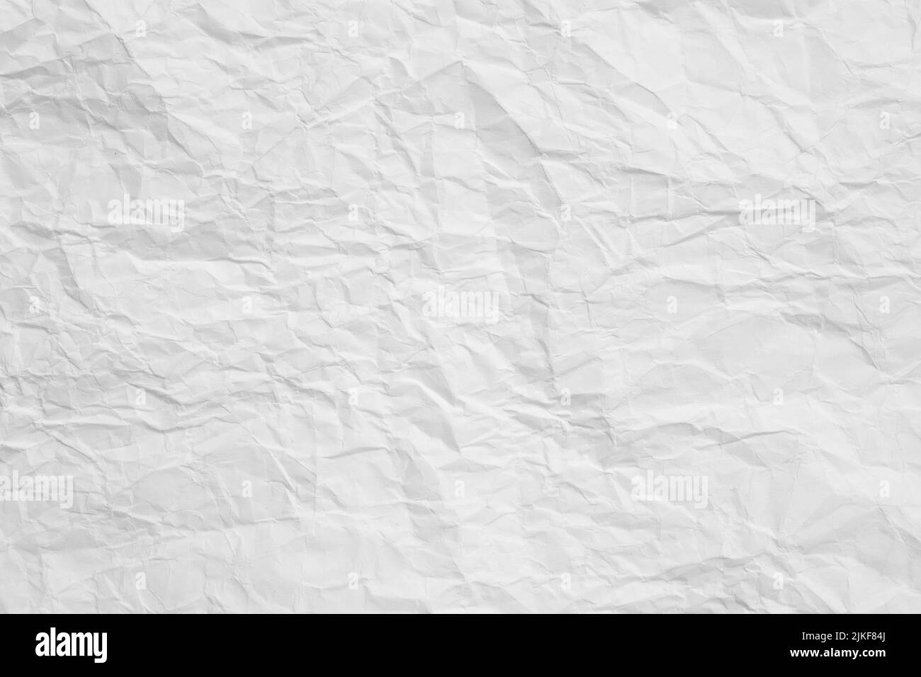 Wrinkled Piece Of Paper