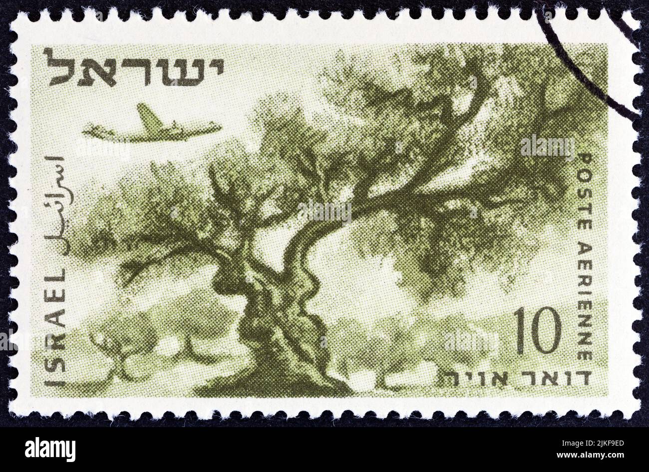 ISRAEL - CIRCA 1953: A stamp printed in Israel shows Olive tree, circa ...