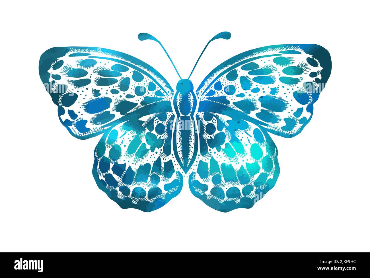 Iridescent blue butterfly Cut Out Stock Images & Pictures - Alamy