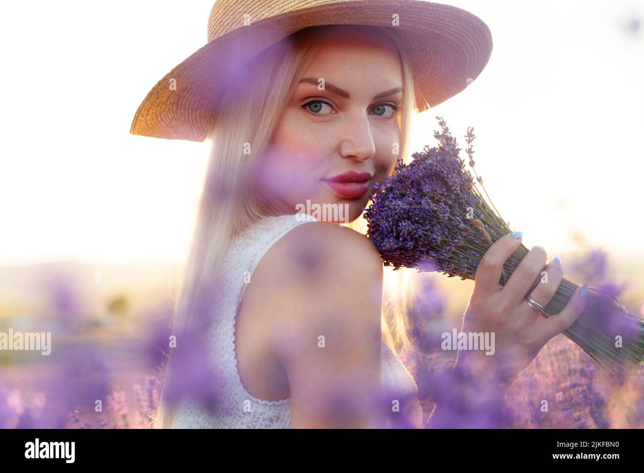 Portrait o charming blonde girl smells lavender flowers in lavender ...