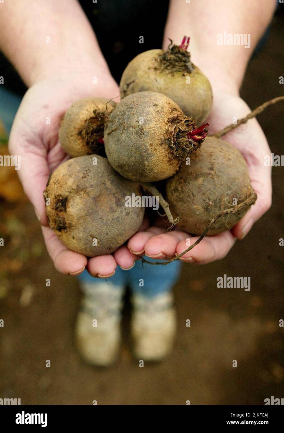 Fat storage hi-res stock photography and images - Alamy