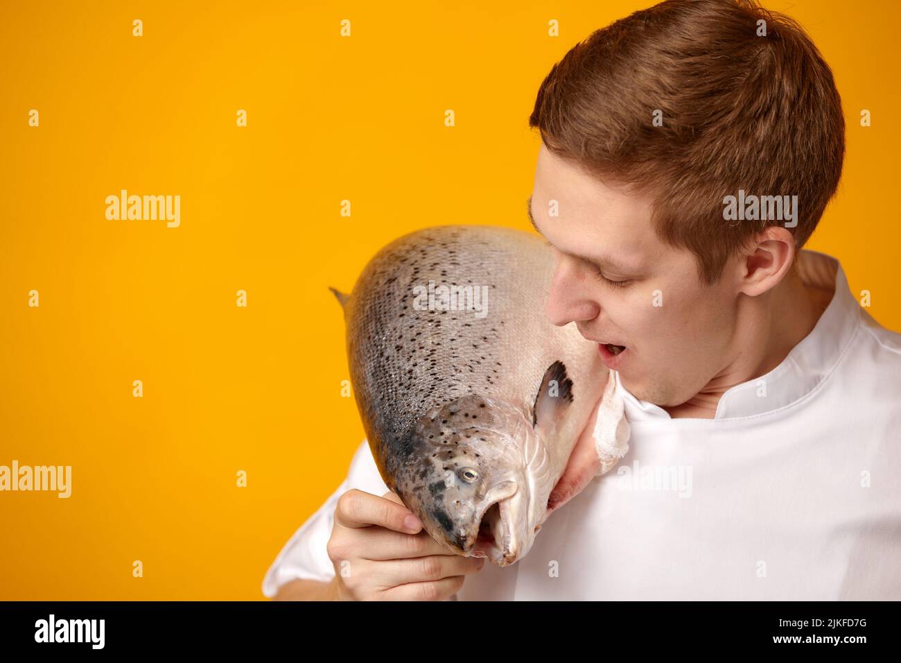 Chef cook holding a big atlantic salmon fish on his shoulder isolated ...