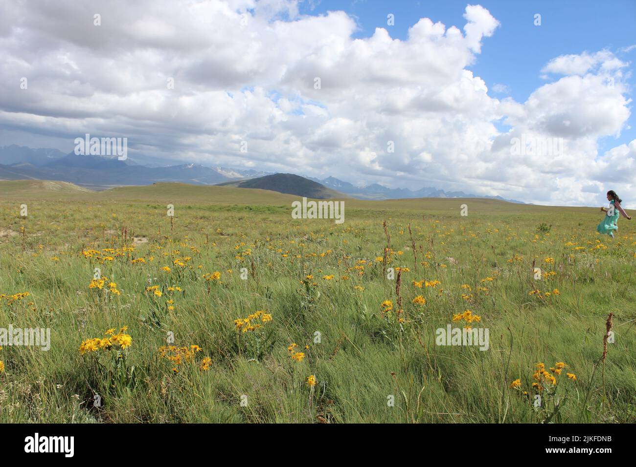 Deosai national park hi-res stock photography and images - Alamy