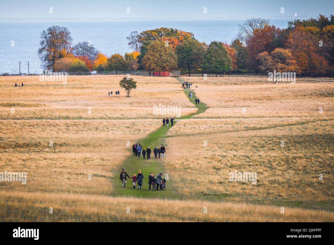 Dyrehaven park copenhagen hi-res stock photography and images - Alamy