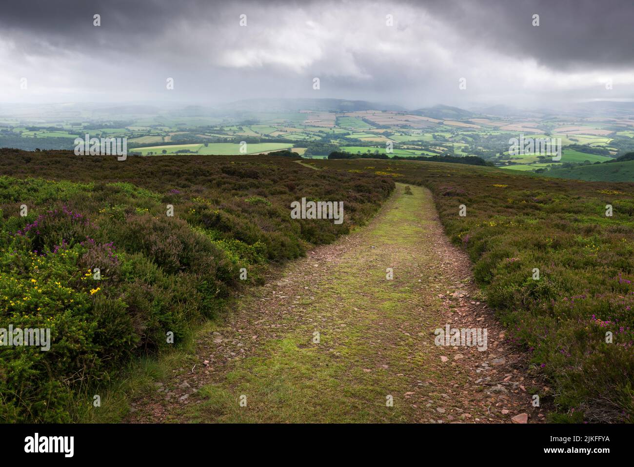 The bridlepath on Hurley Beacon in the Quantock Hills with the Brendon ...