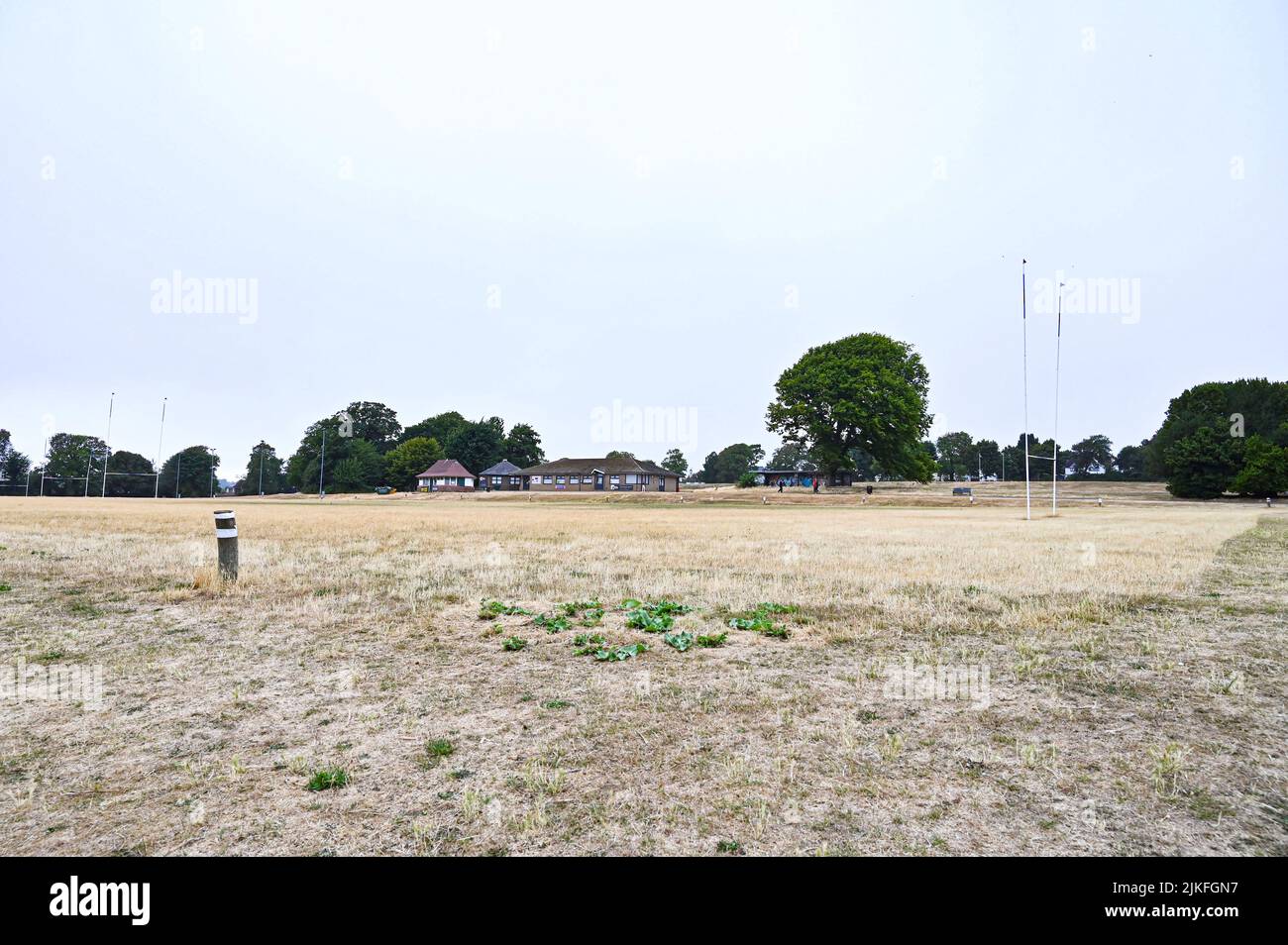Hove rugby club hi-res stock photography and images - Alamy