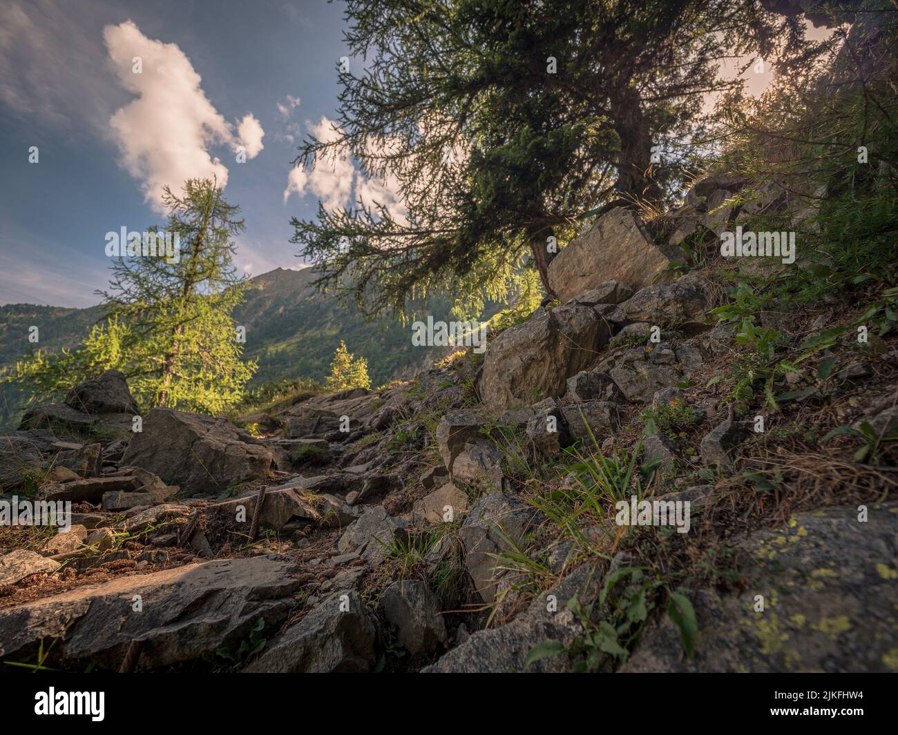 Beautiful Alpine mountain valley. Pine trees line a steep mountain side ...
