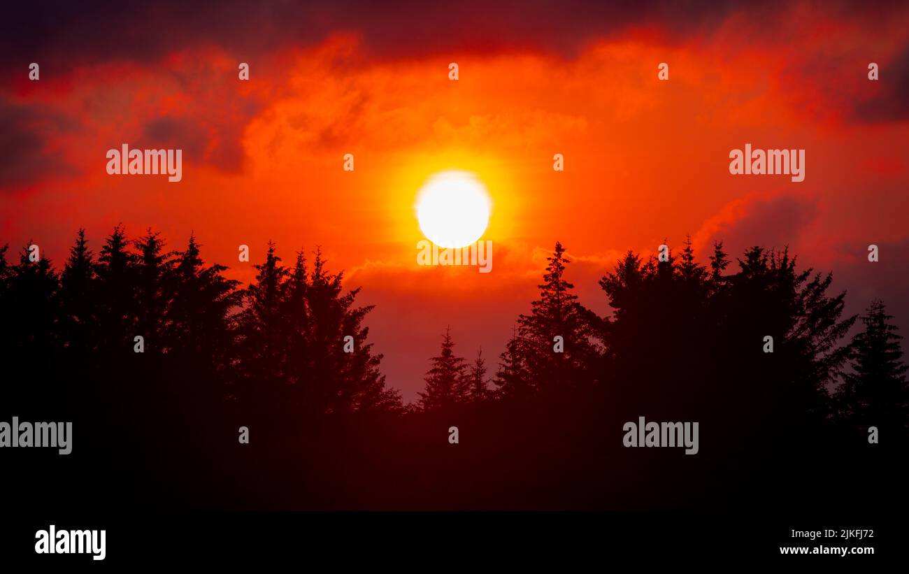 Sunset pine trees silhouette hi-res stock photography and images - Alamy