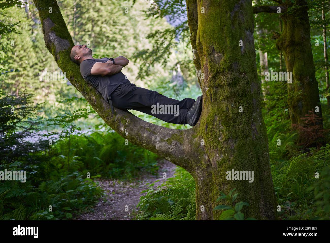 Man sitting on a branch in a tree, like in a hammock Stock Photo - Alamy