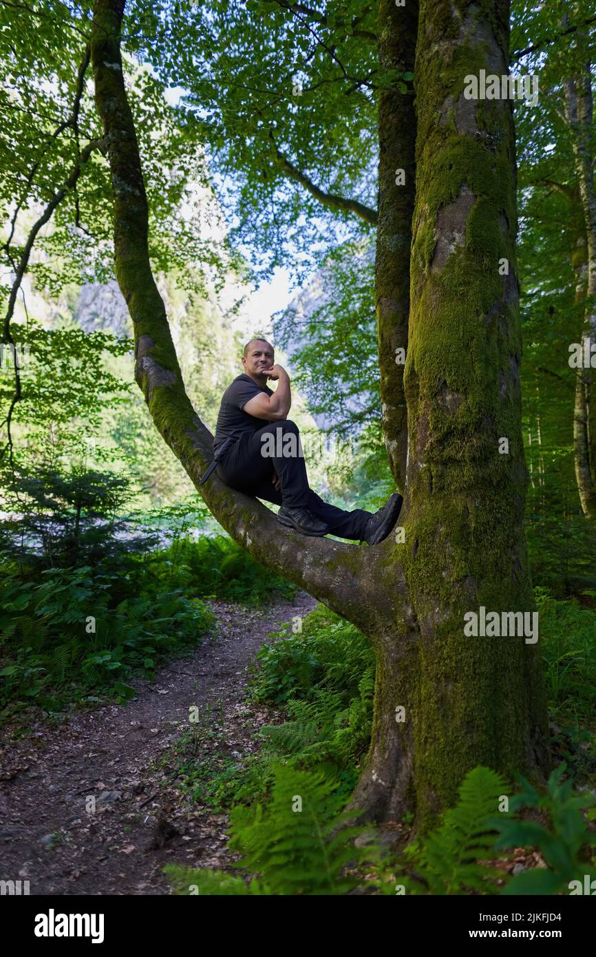 Man sitting on a branch in a tree, like in a hammock Stock Photo - Alamy
