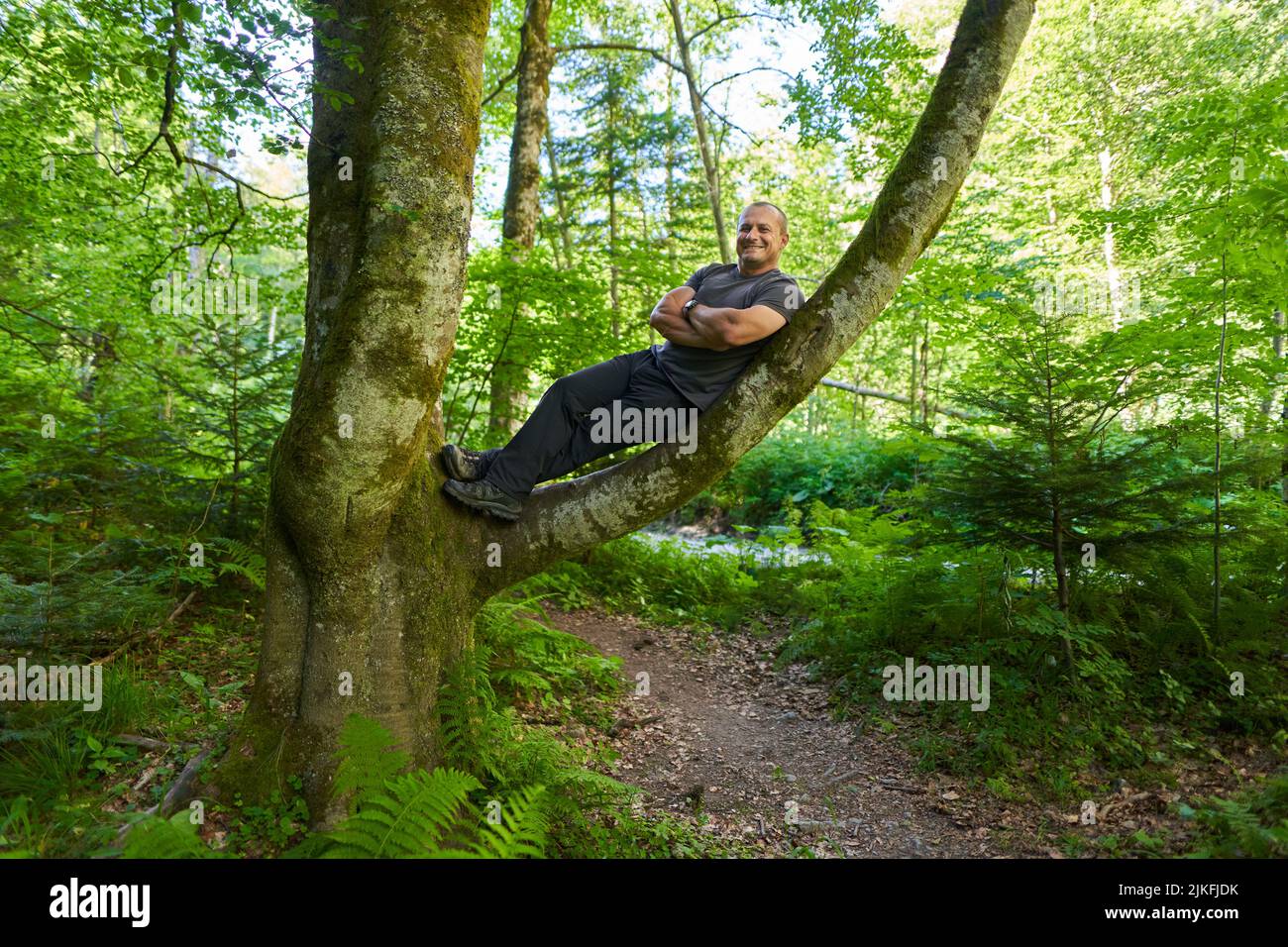 Man sitting on a branch in a tree, like in a hammock Stock Photo - Alamy