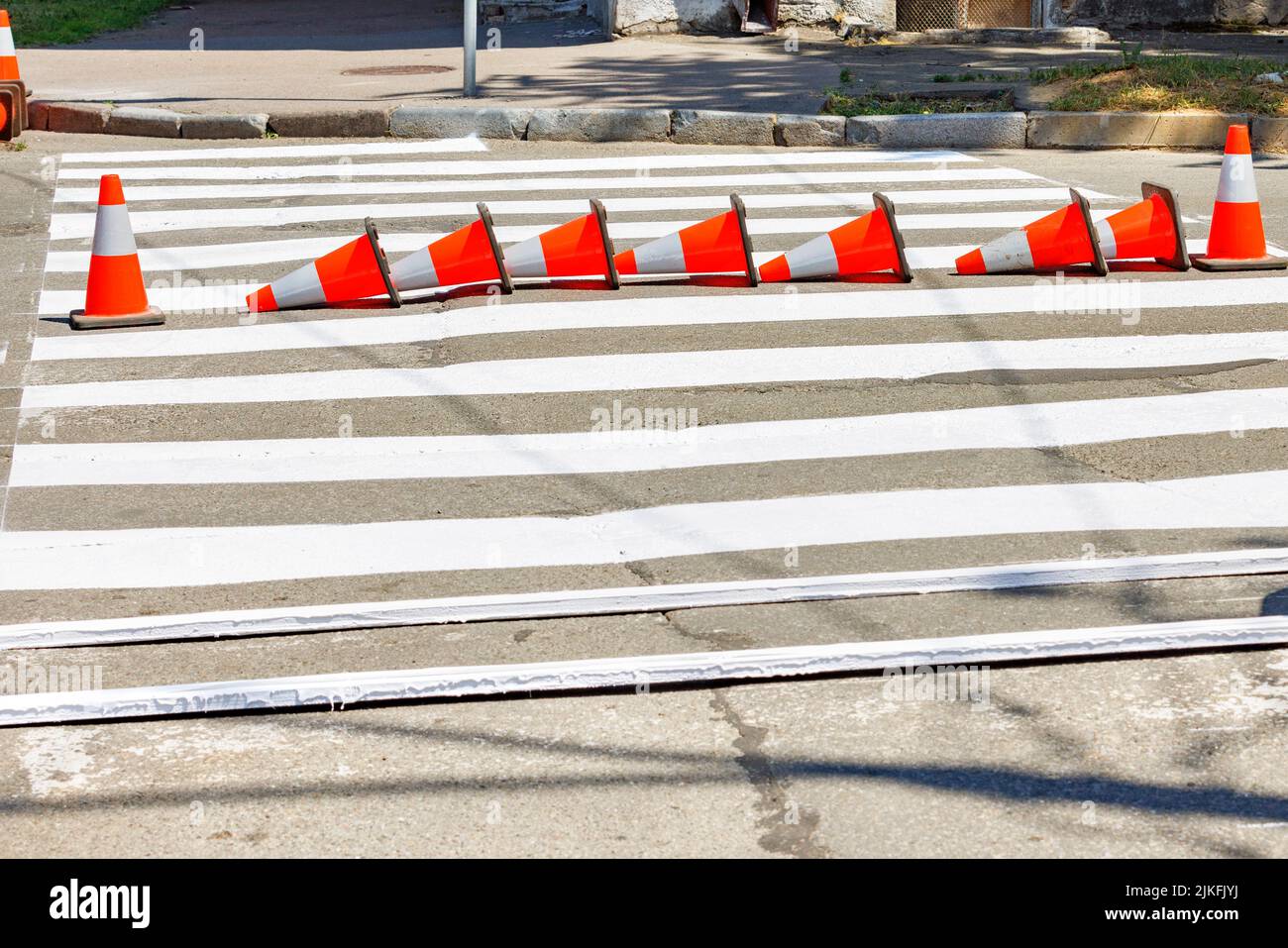 Freshly marked crosswalk lined with orange traffic cones on a sunny ...