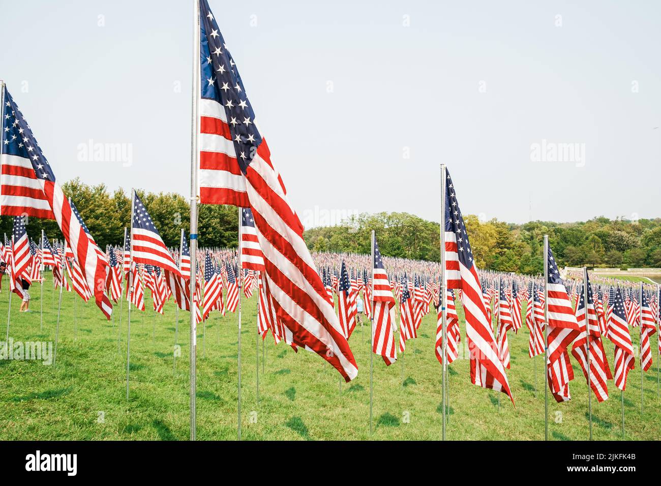 The American flags on a field on a cloudless day Stock Photo - Alamy