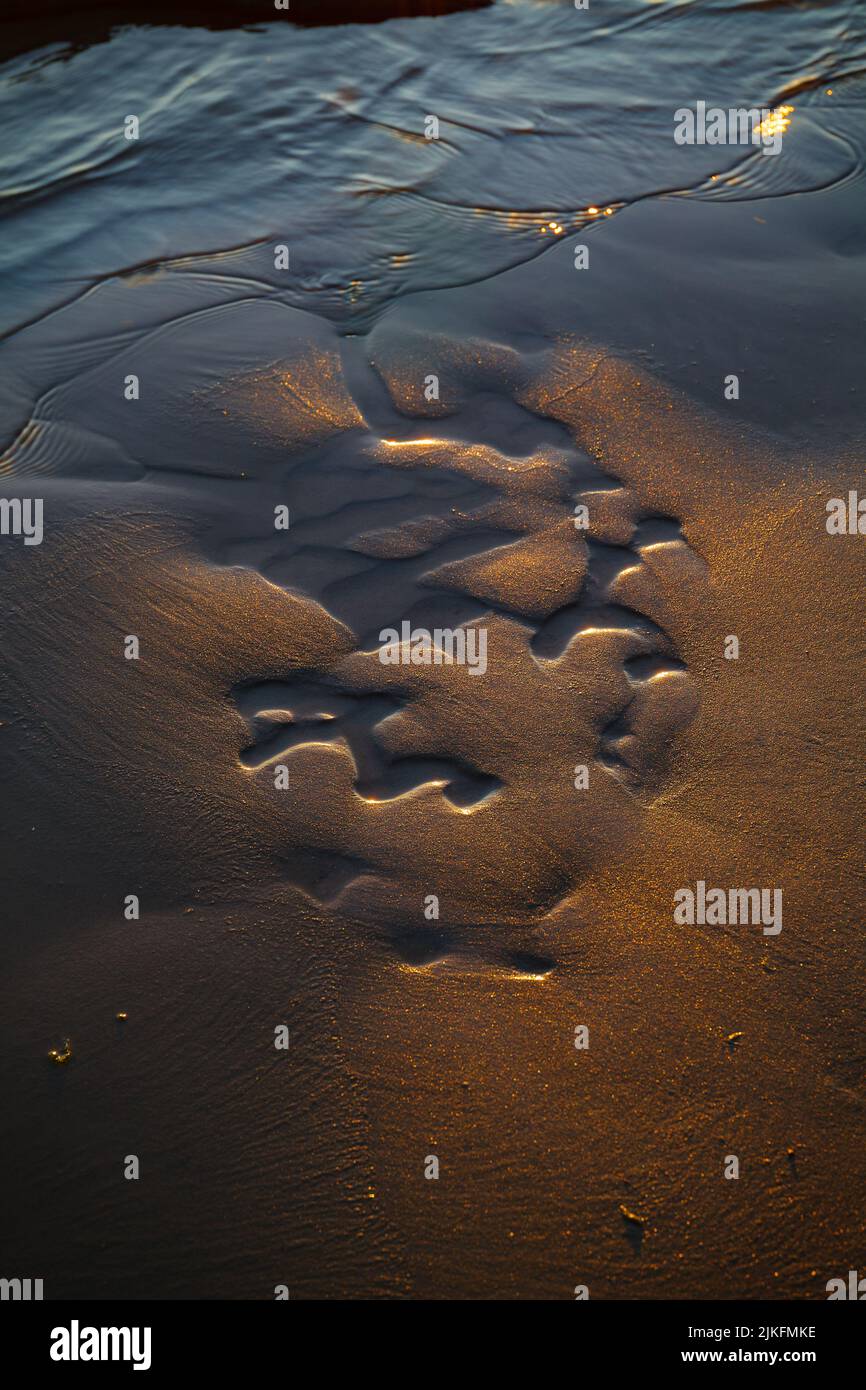 Summer sun dawn reflecting light lake lake and sea hi-res stock ...