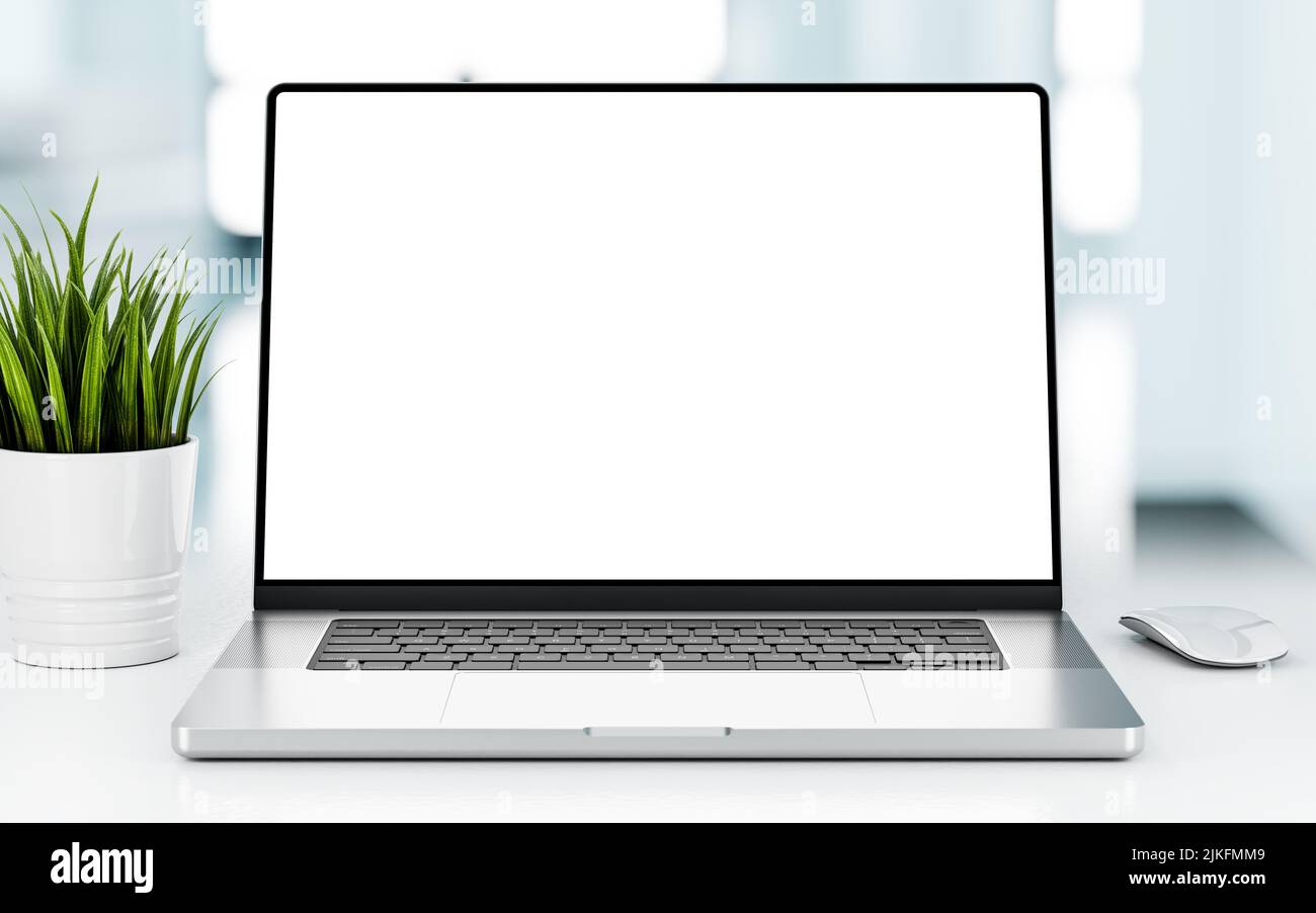 A modern frameless laptop on a table with grass flowers and a mouse ...