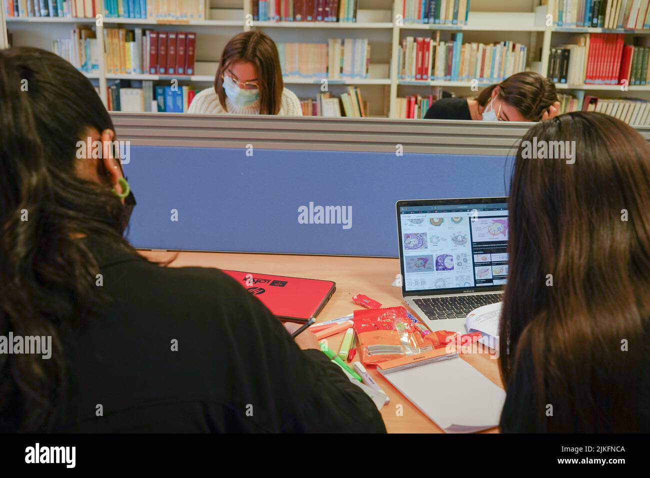 Students in the study room at the university library Stock Photo - Alamy