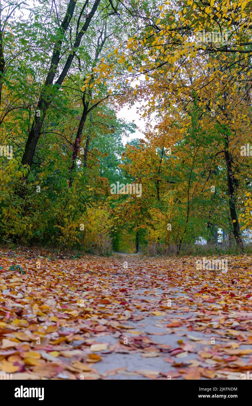 Point bottom hi-res stock photography and images - Alamy