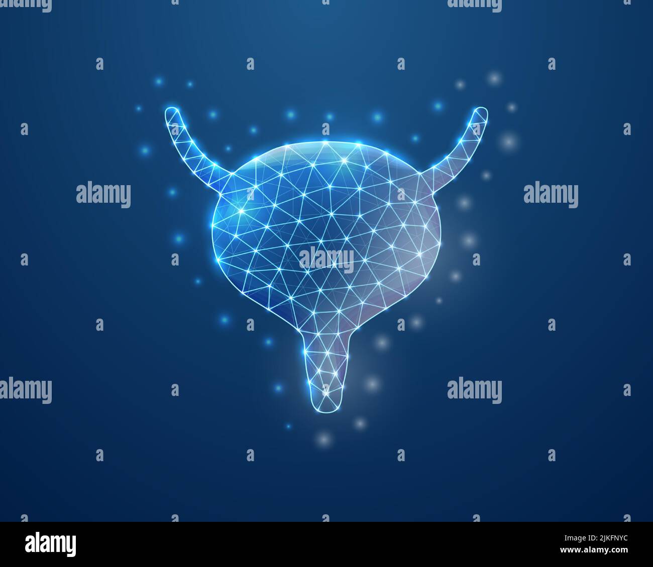 Bladder 3d symbol in blue low poly style. Reproductive system, human transplantation design ...