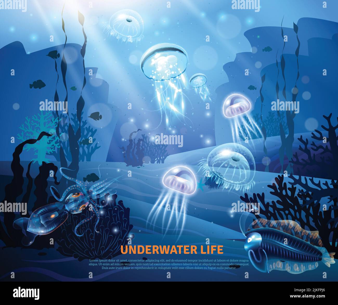 Underwater world sea life poster with transparent colorful jellyfishes ...