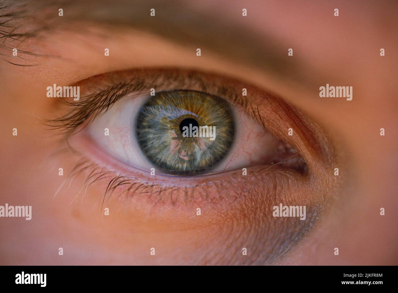 Human eye green iris hi-res stock photography and images - Alamy