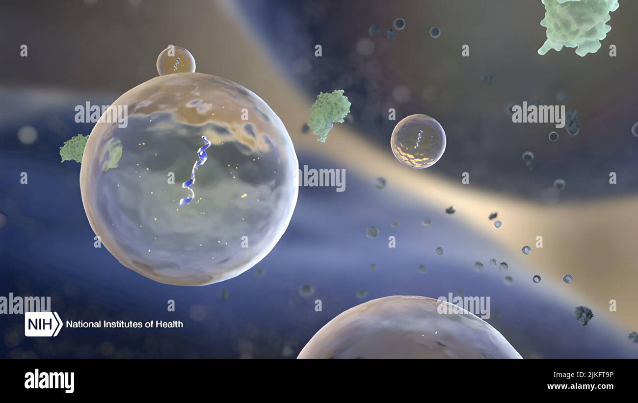 The National Institutes of Health awarded $17 million in 2013 for 24 ...