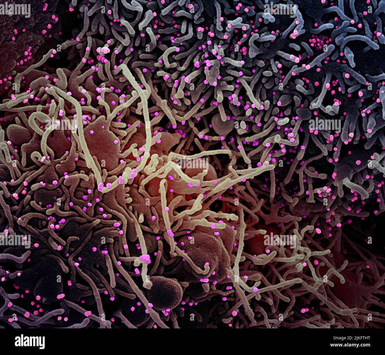 Regulatory signs hi-res stock photography and images - Alamy