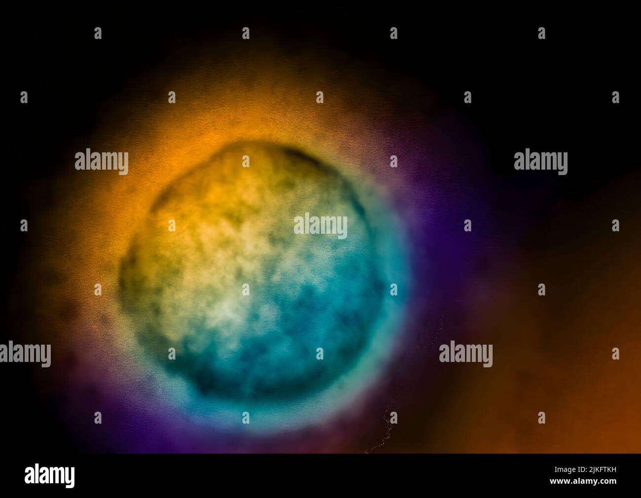 A Nipah virus particle budding from a cell used to grow viruses Stock ...