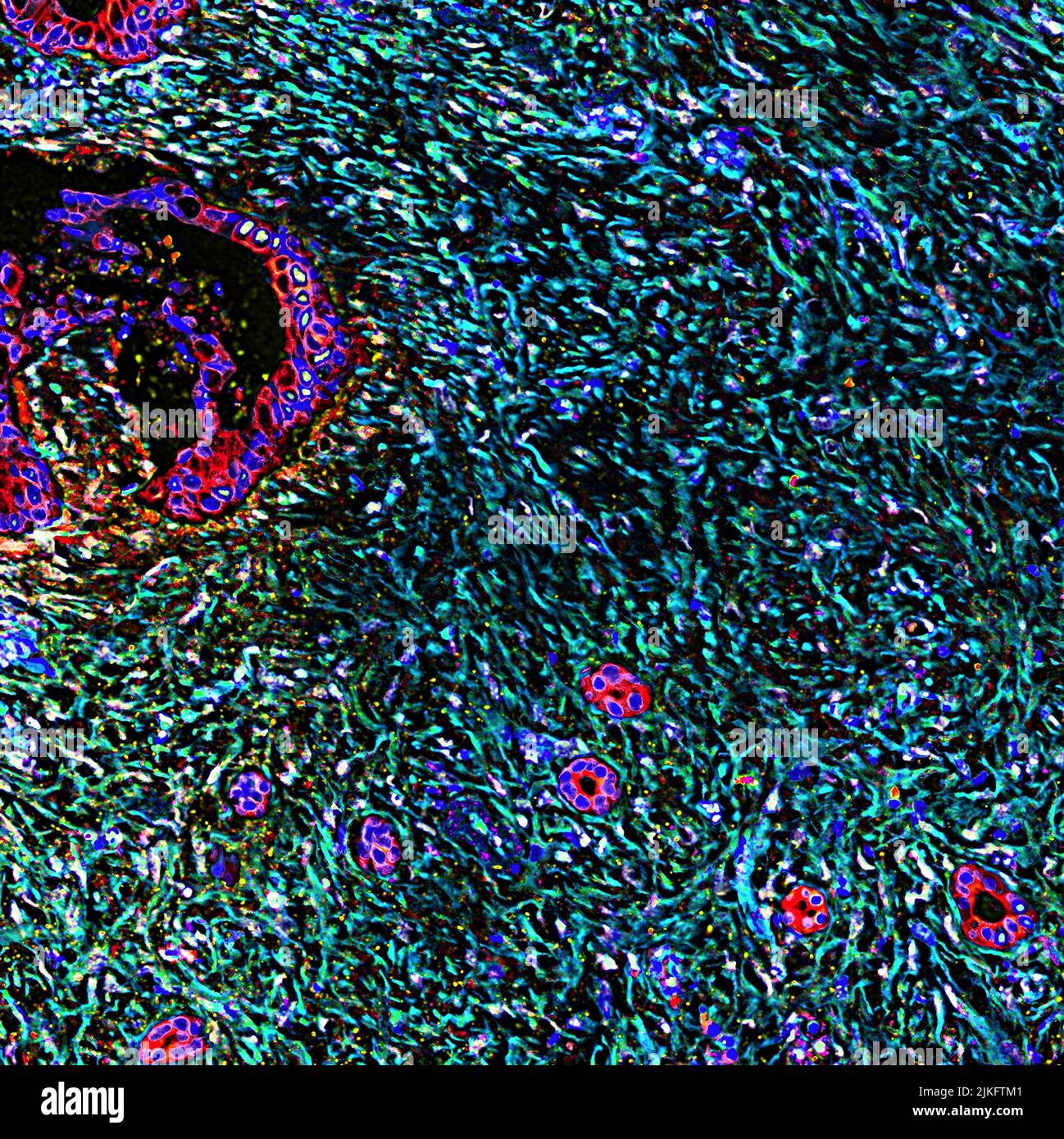 Reaction overlays hi-res stock photography and images - Alamy