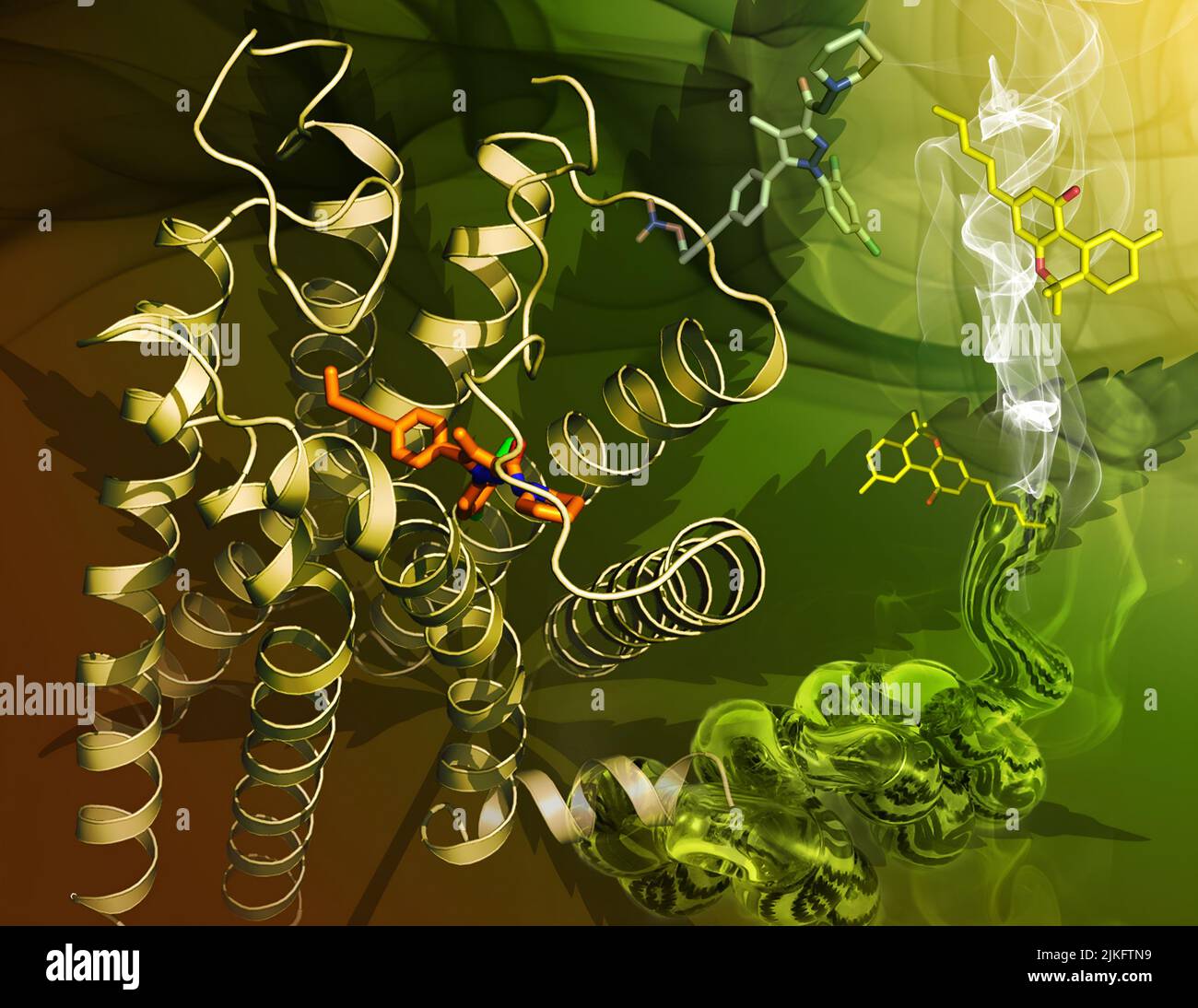 Thc antagonist hi-res stock photography and images - Alamy
