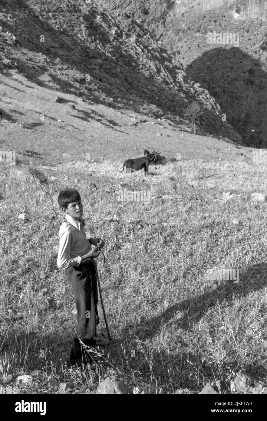 Shepherd boy near Liviania, Crete, Greek Islands, Greece Stock Photo ...