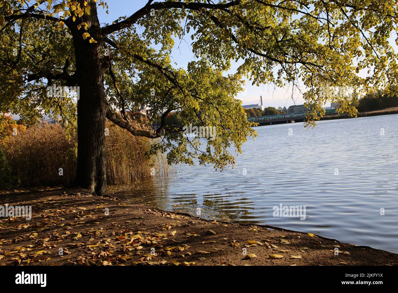 Töölönlahti Bay, Helsinki, Finland, September 2019. Autumn season in ...