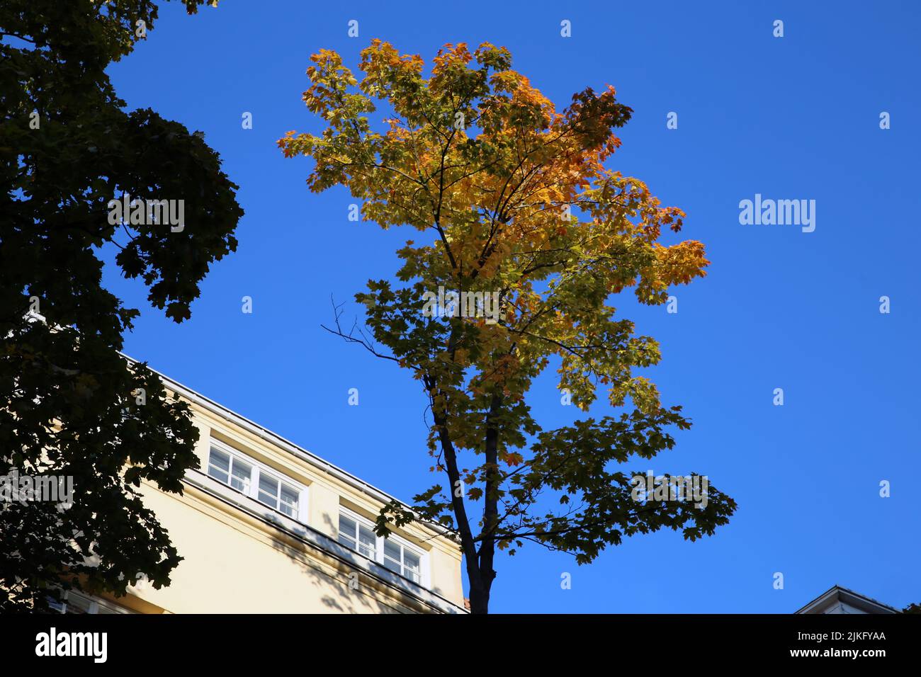 City nature and architecture in Helsinki, Finland, September 2019 ...