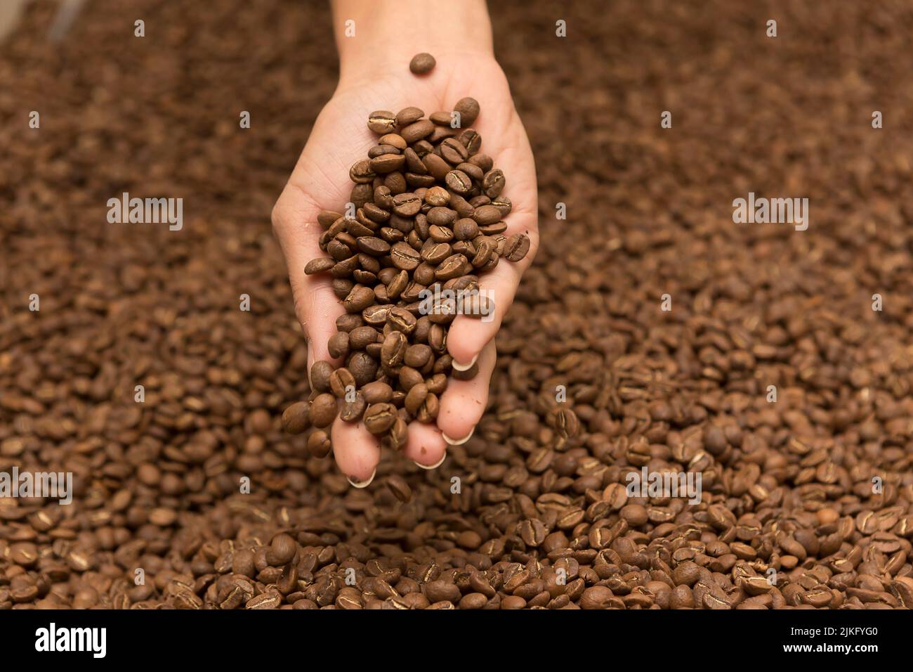 Close up on coffee beans toasted for roastery Stock Photo - Alamy