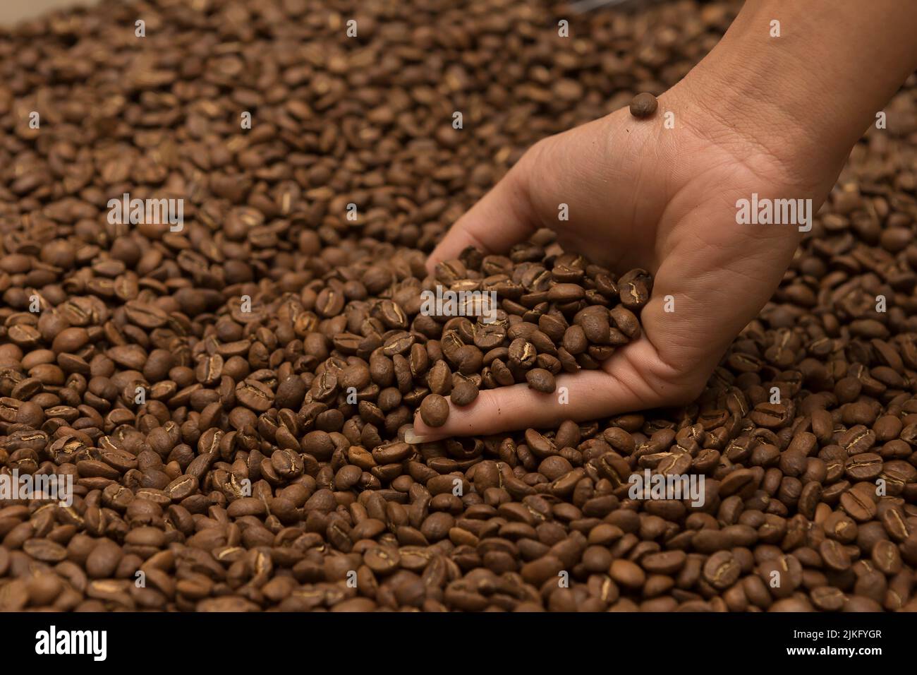 Close up on coffee beans toasted for roastery Stock Photo - Alamy