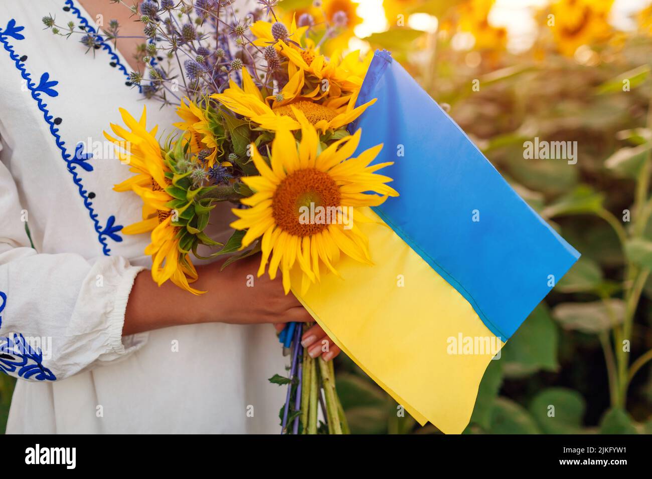 Woman holding yellow and blue flag of Ukraine with sunflowers in summer ...
