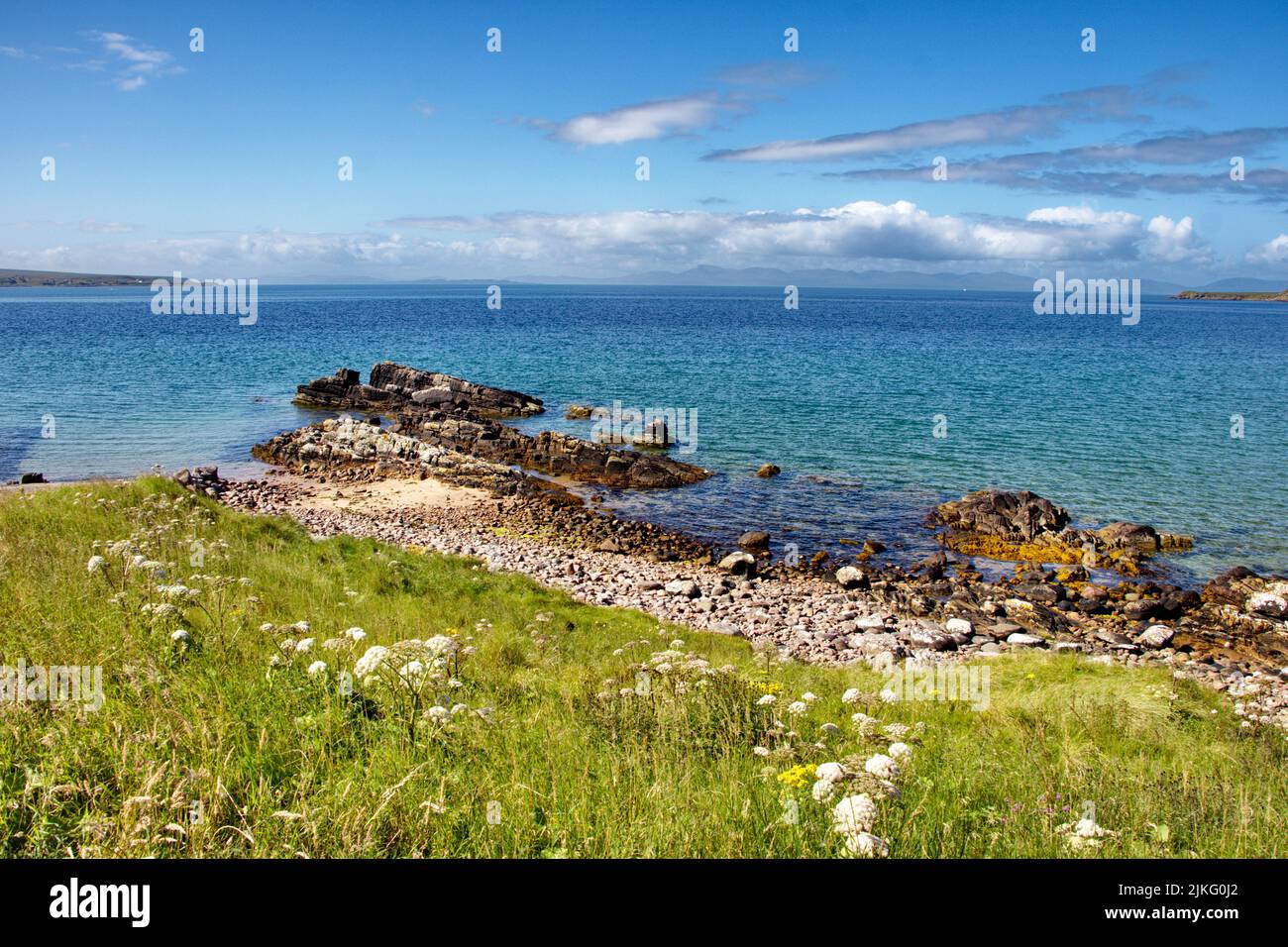 BIG SAND BEACH GAIRLOCH SCOTLAND WILDFLOWERS GRASSES AND ROCKS IN ...