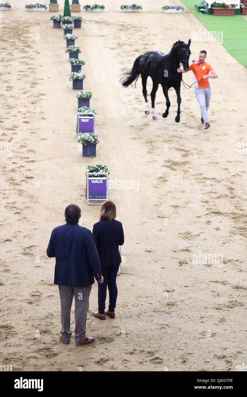 Lameness check hi-res stock photography and images - Alamy