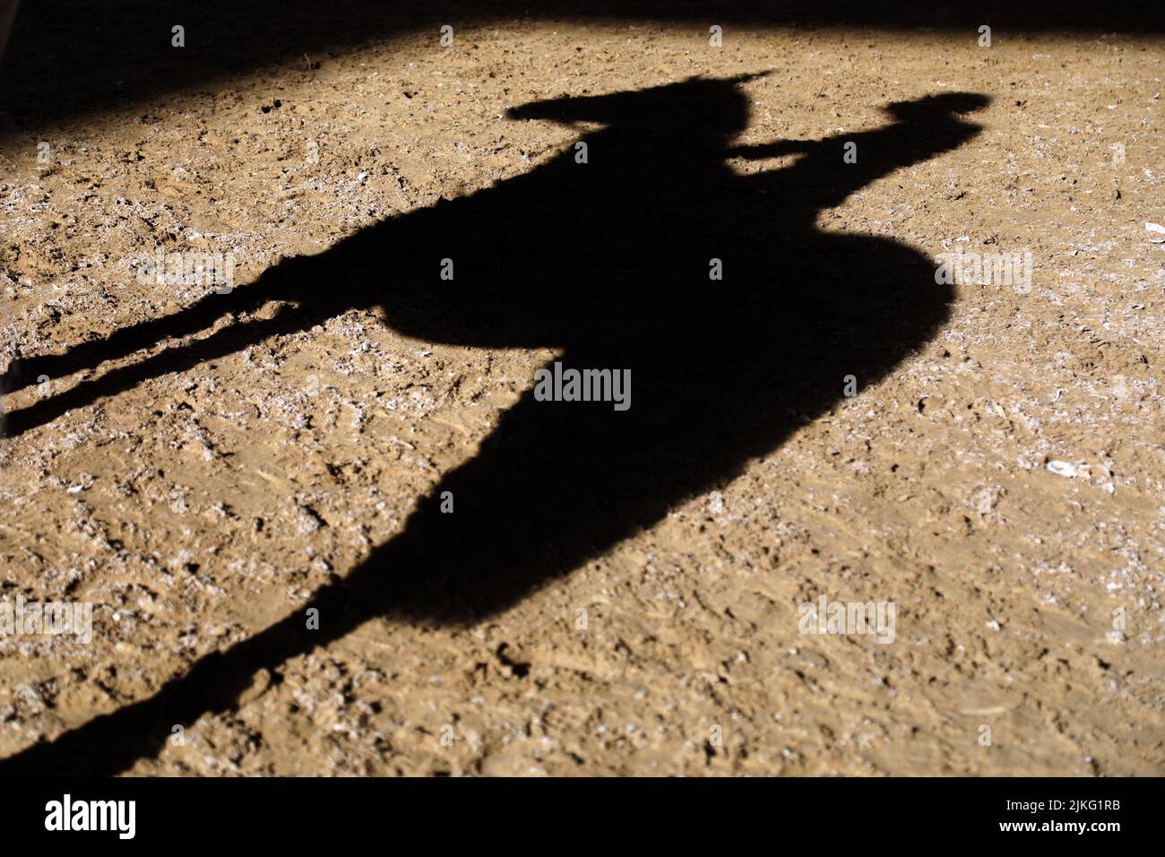 24.02.2022, Qatar, , Doha - Rider and horse cast a shadow on the ground ...