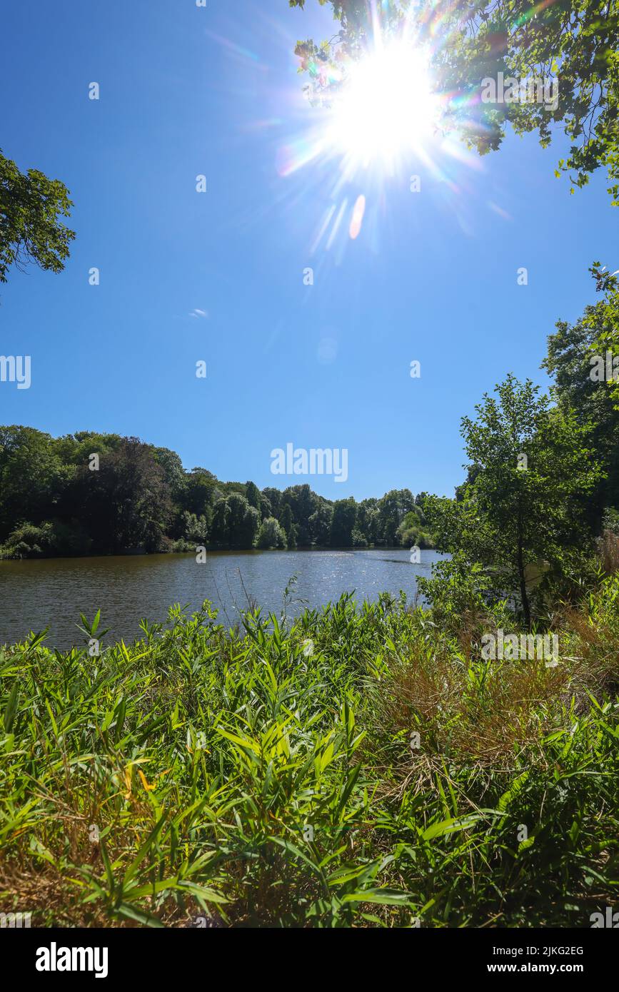 Romberg park botanical garden hi-res stock photography and images - Alamy